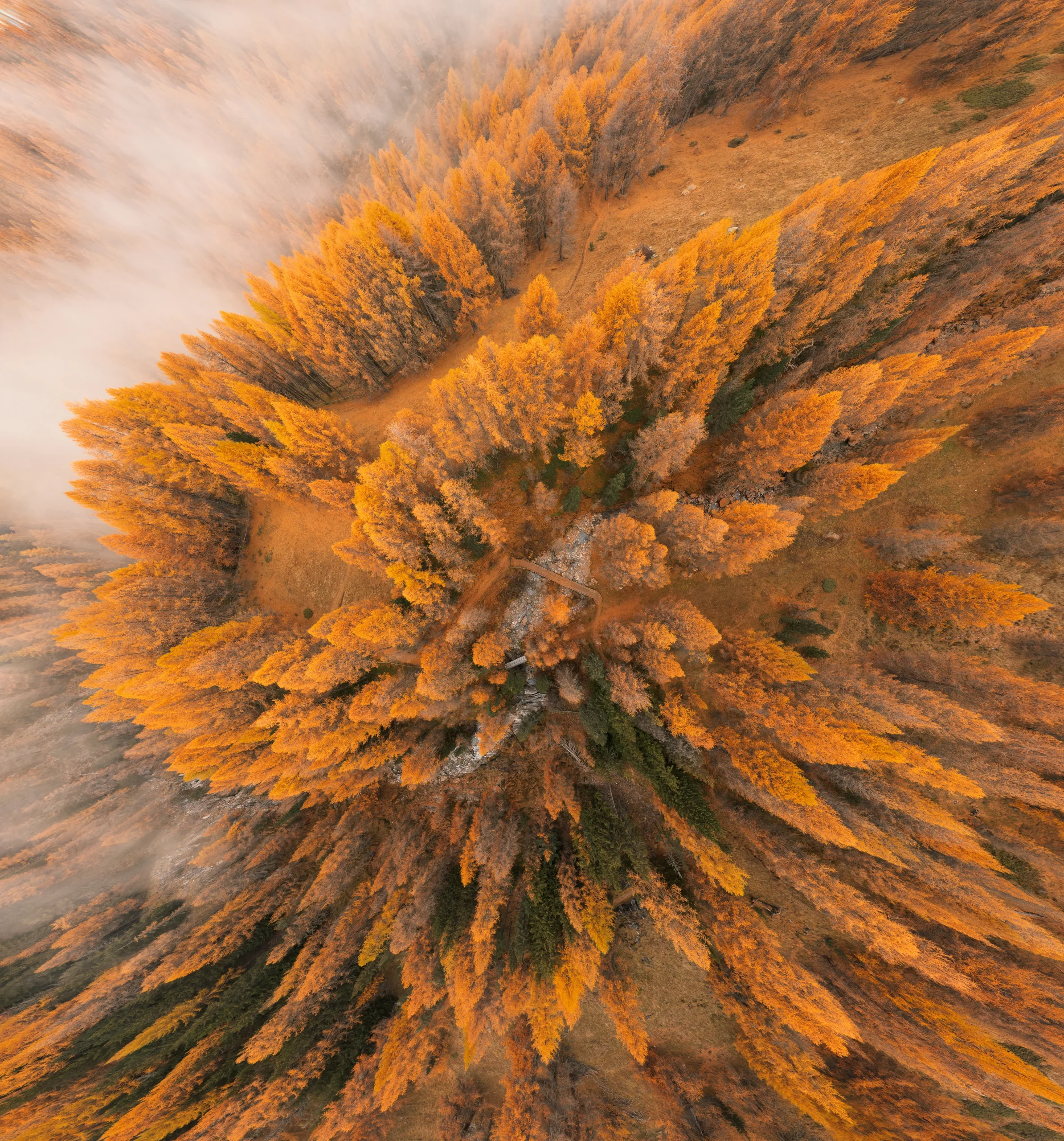 Direct Investments - Verium AG