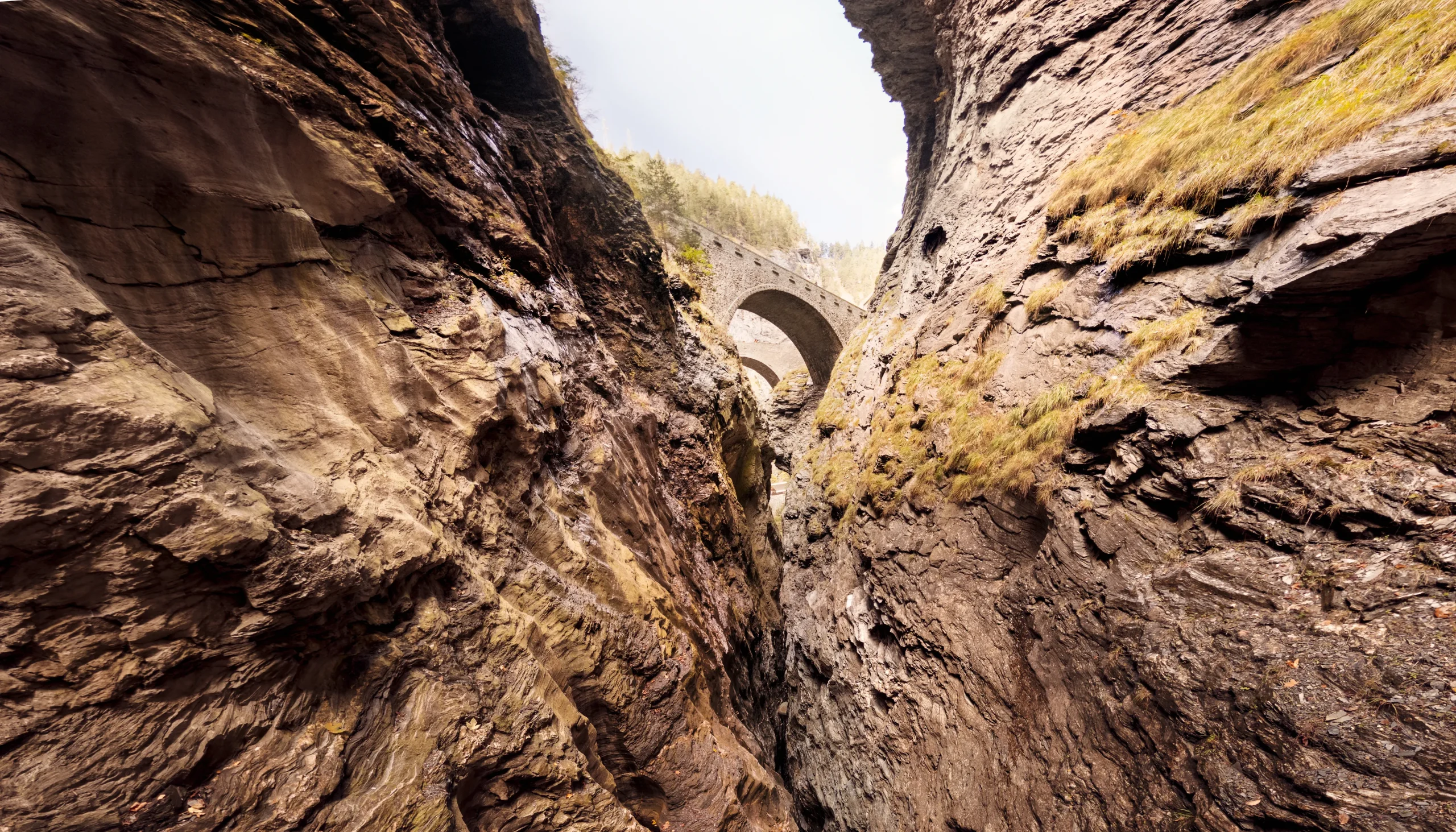 Family Office | Verium AG